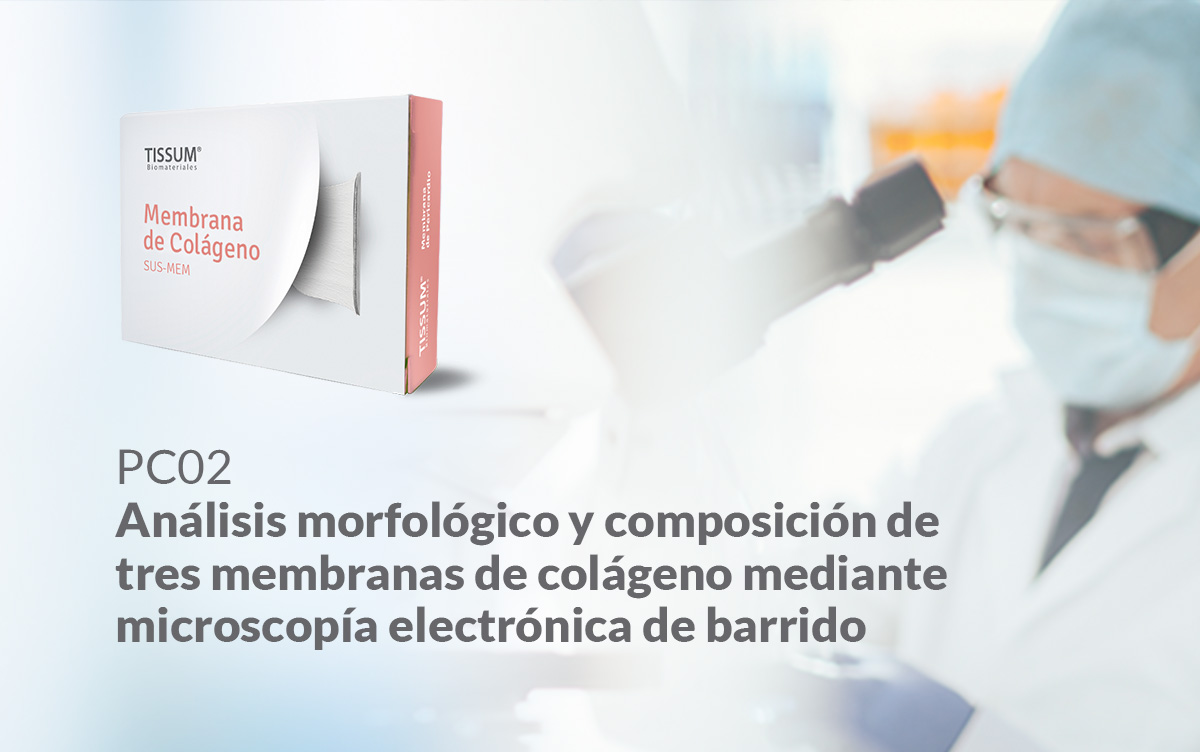 Análisis morfológico y composición de 3 membranas de colágeno - InBiomed