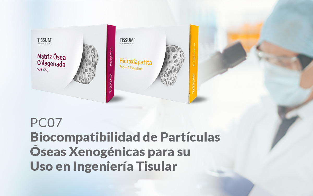 Biocompatibilidad de Partículas Óseas Xenogénicas - InBiomed
